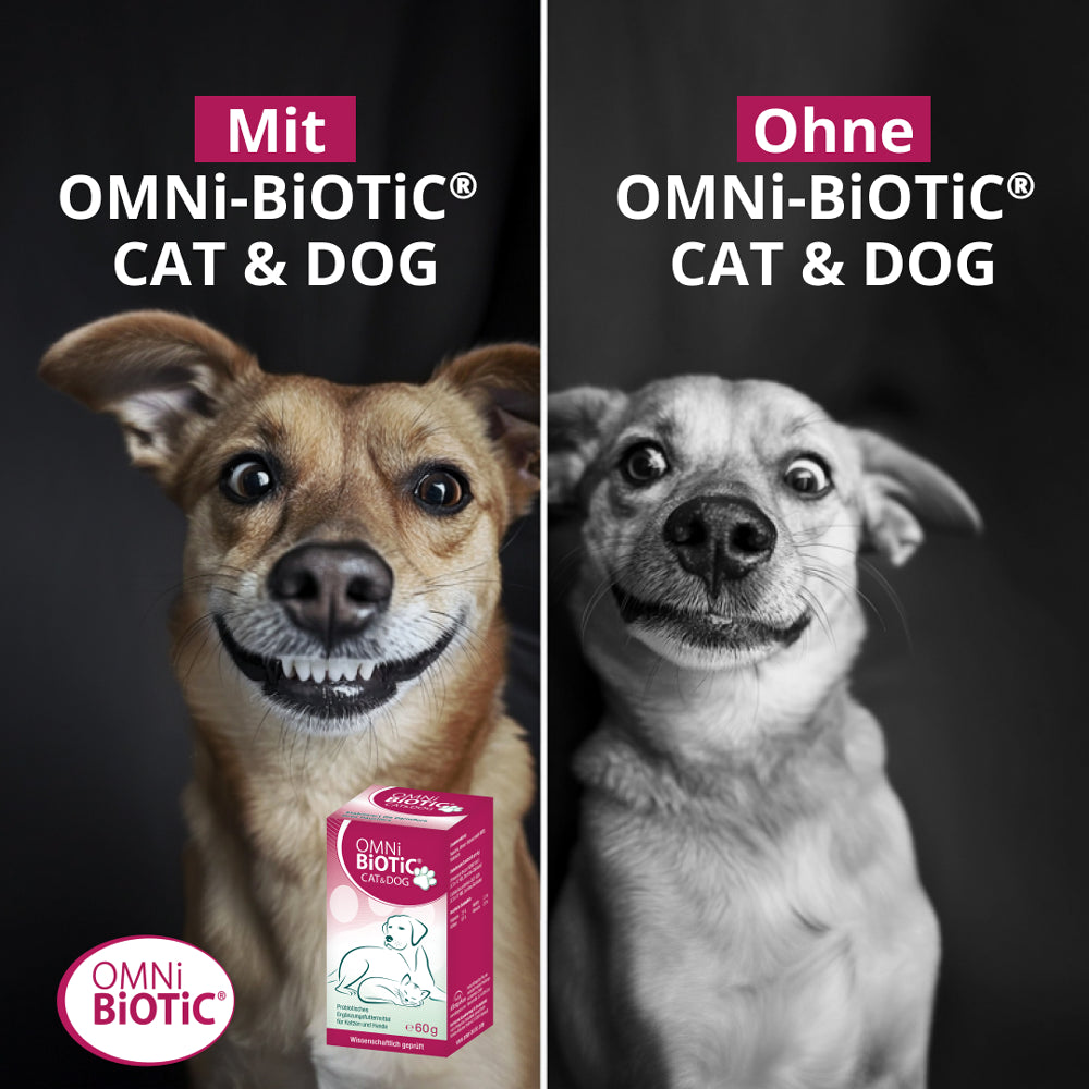 OMNi-BiOTiC® CAT & DOG – OMNi-BiOTiC® Shop